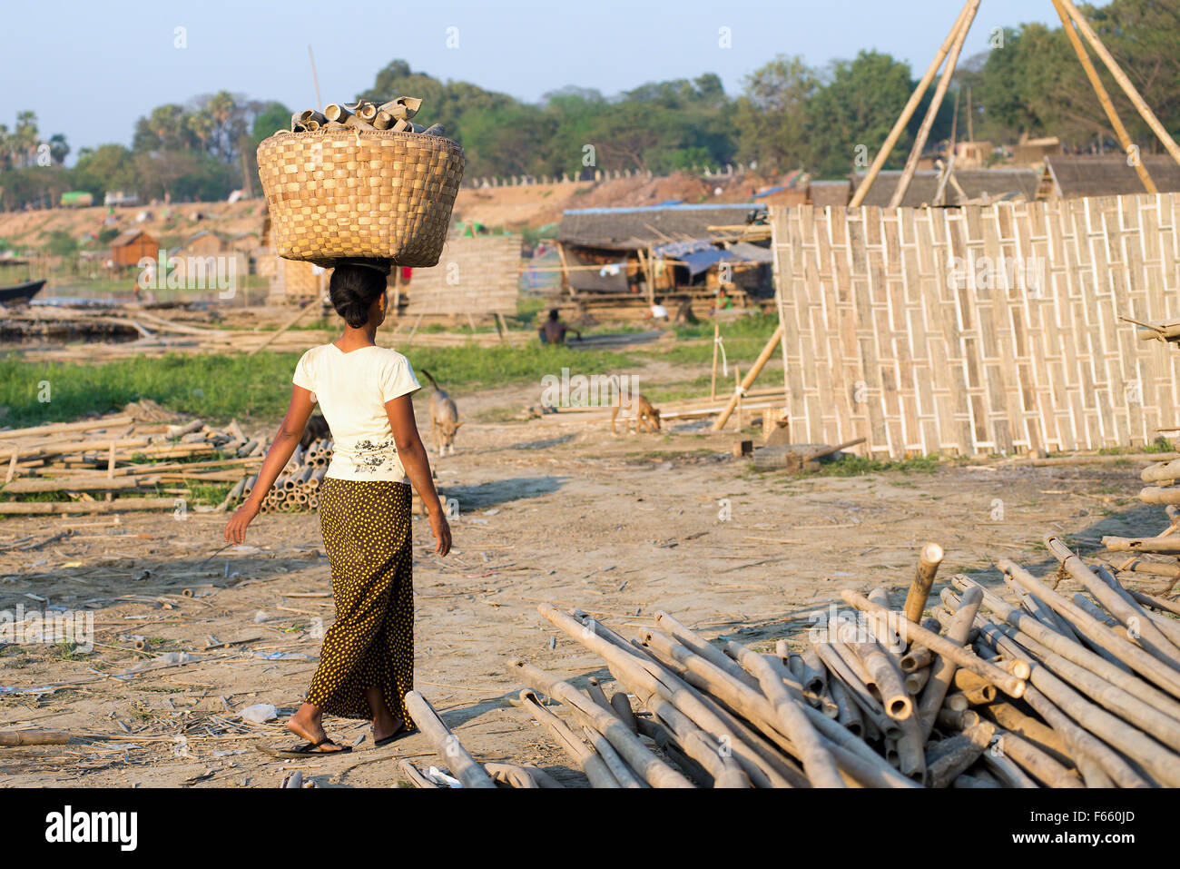 Bamboo logs hi-res stock photography and images - Alamy