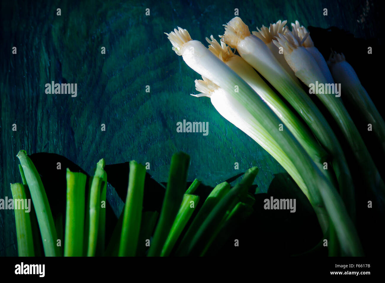 Onion root tips hi-res stock photography and images - Alamy