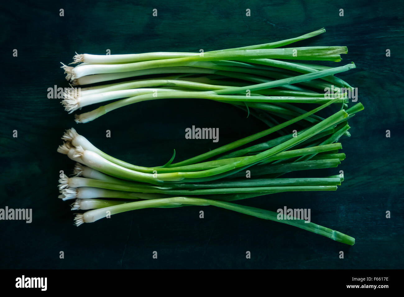 Whole table onion with roots and tips on greenish blue wood grain, room ...