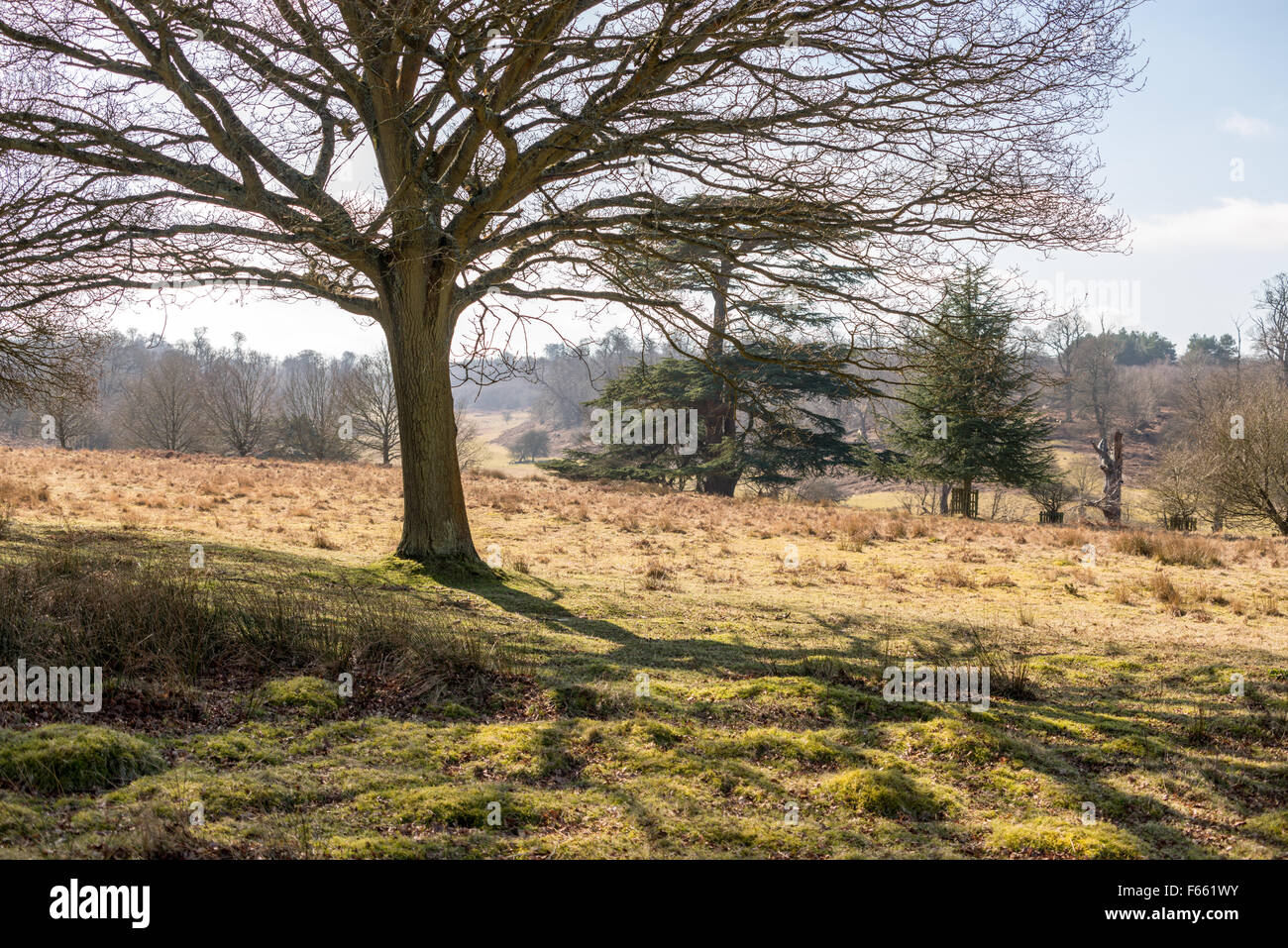 Country side view Stock Photo - Alamy