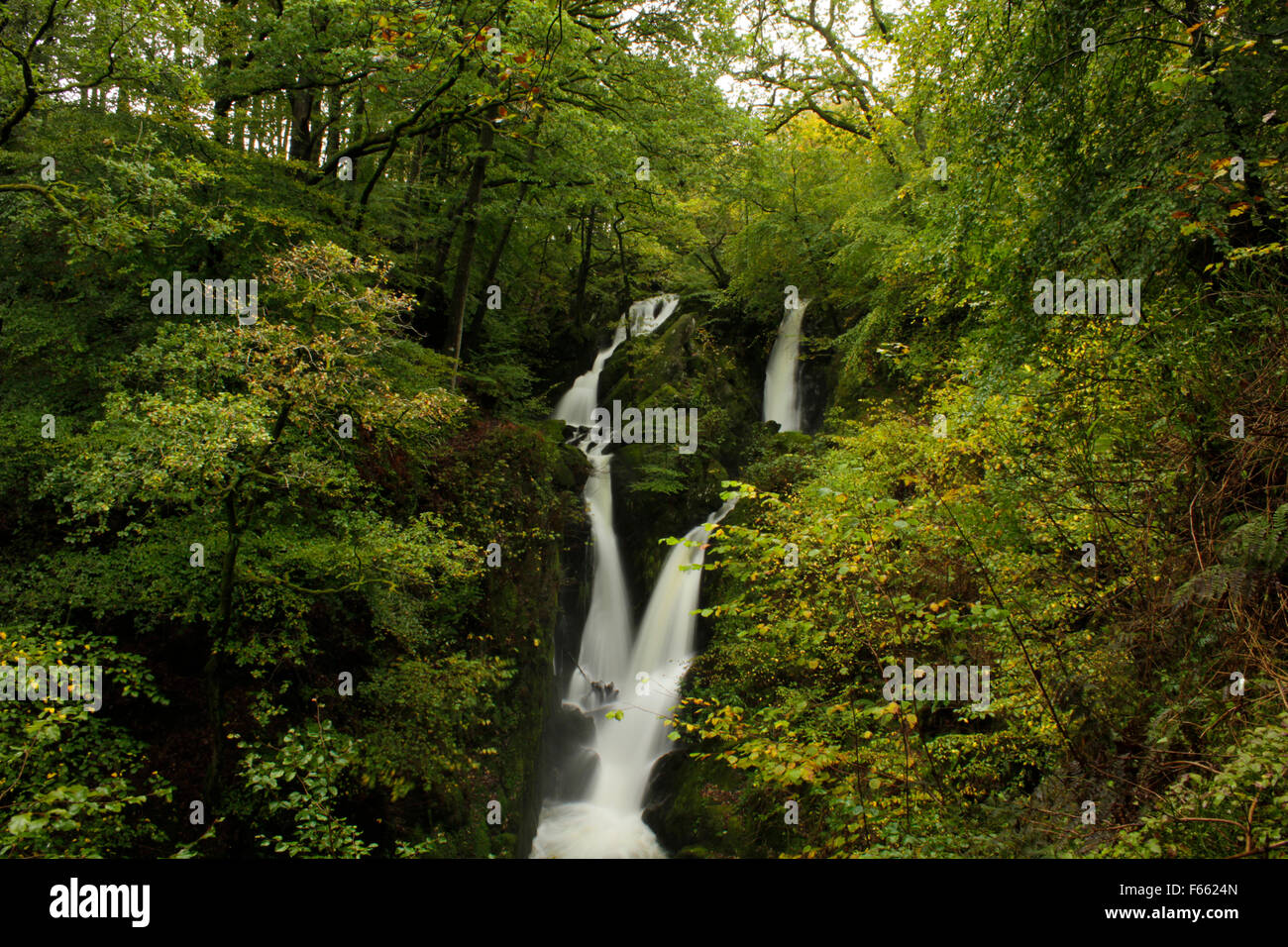 White water cascade, Stock Ghyll, Cumbria Stock Photo - Alamy