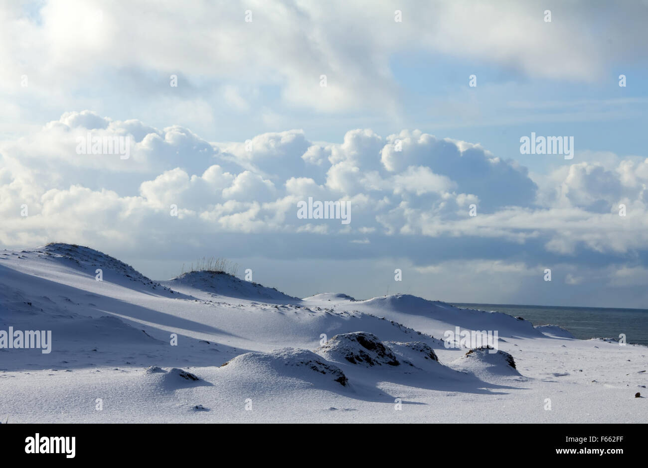 Tundra in winter ( Commander Islands Stock Photo - Alamy