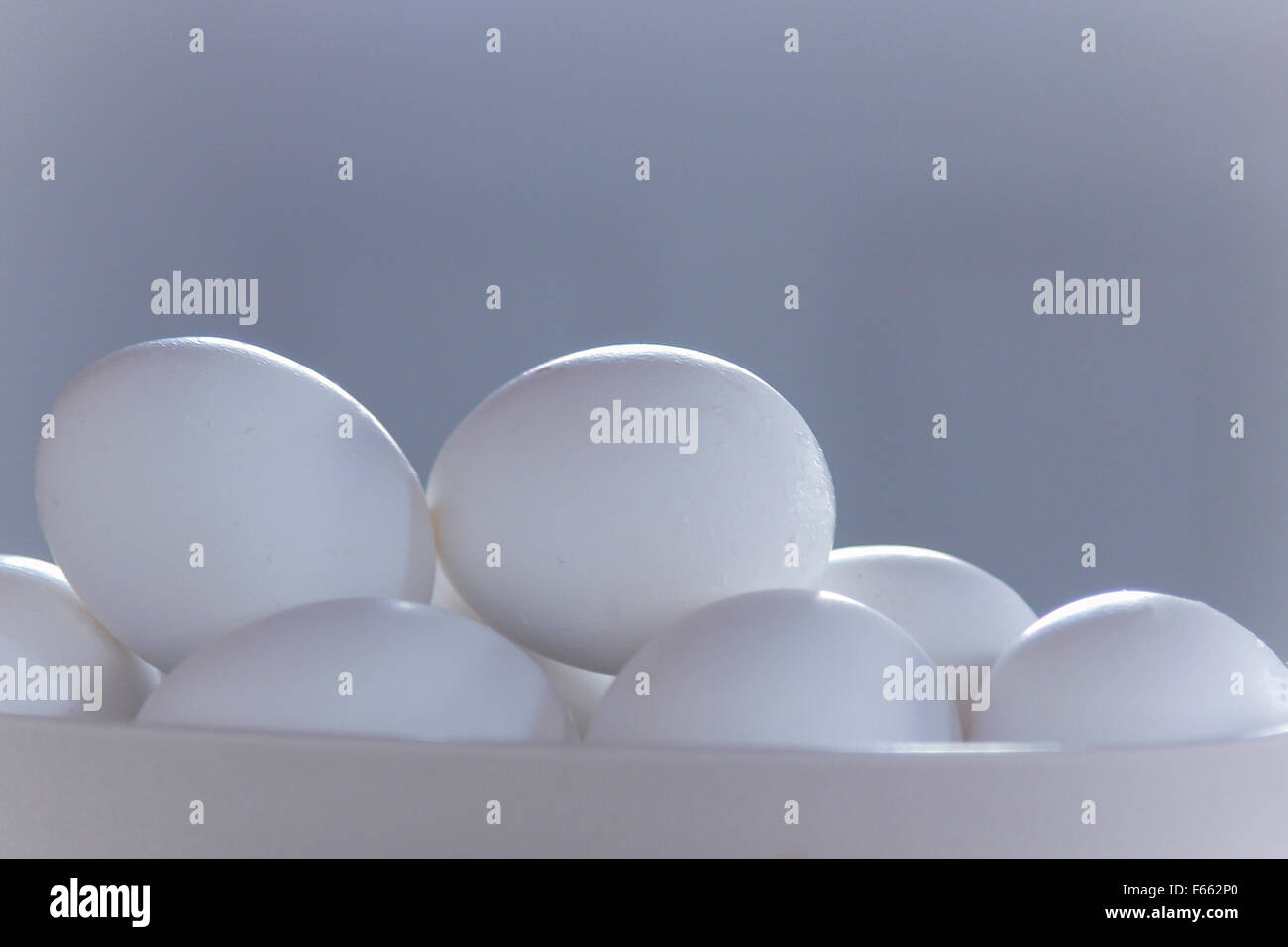 Grey shell hi-res stock photography and images - Alamy