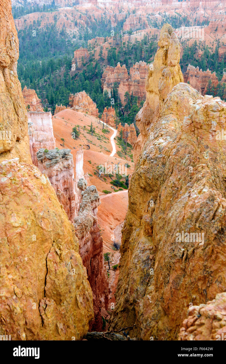 Spectacular landscape, Bryce Canyon National Park, Utah Stock Photo - Alamy