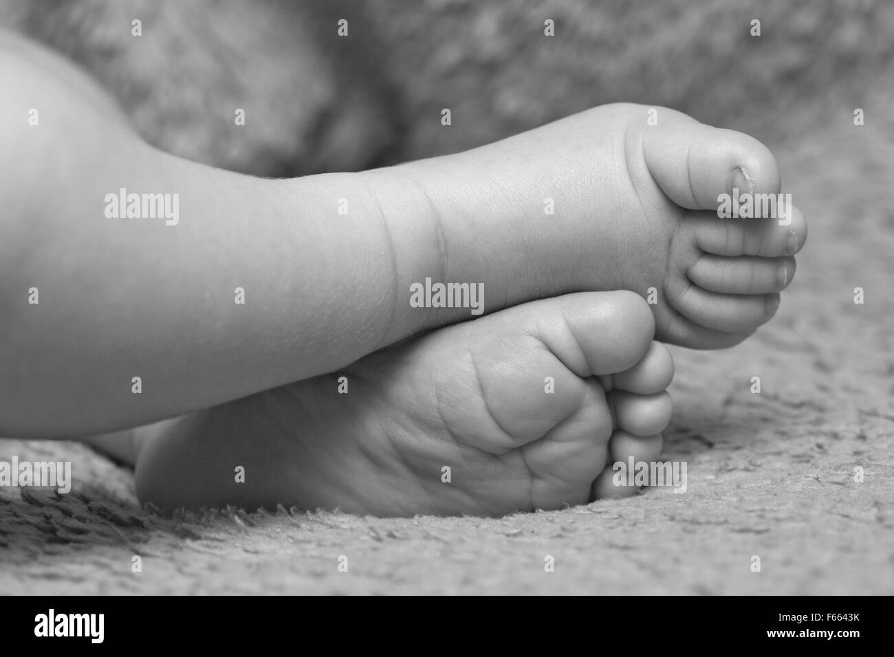 Newborn baby b w hi-res stock photography and images - Alamy
