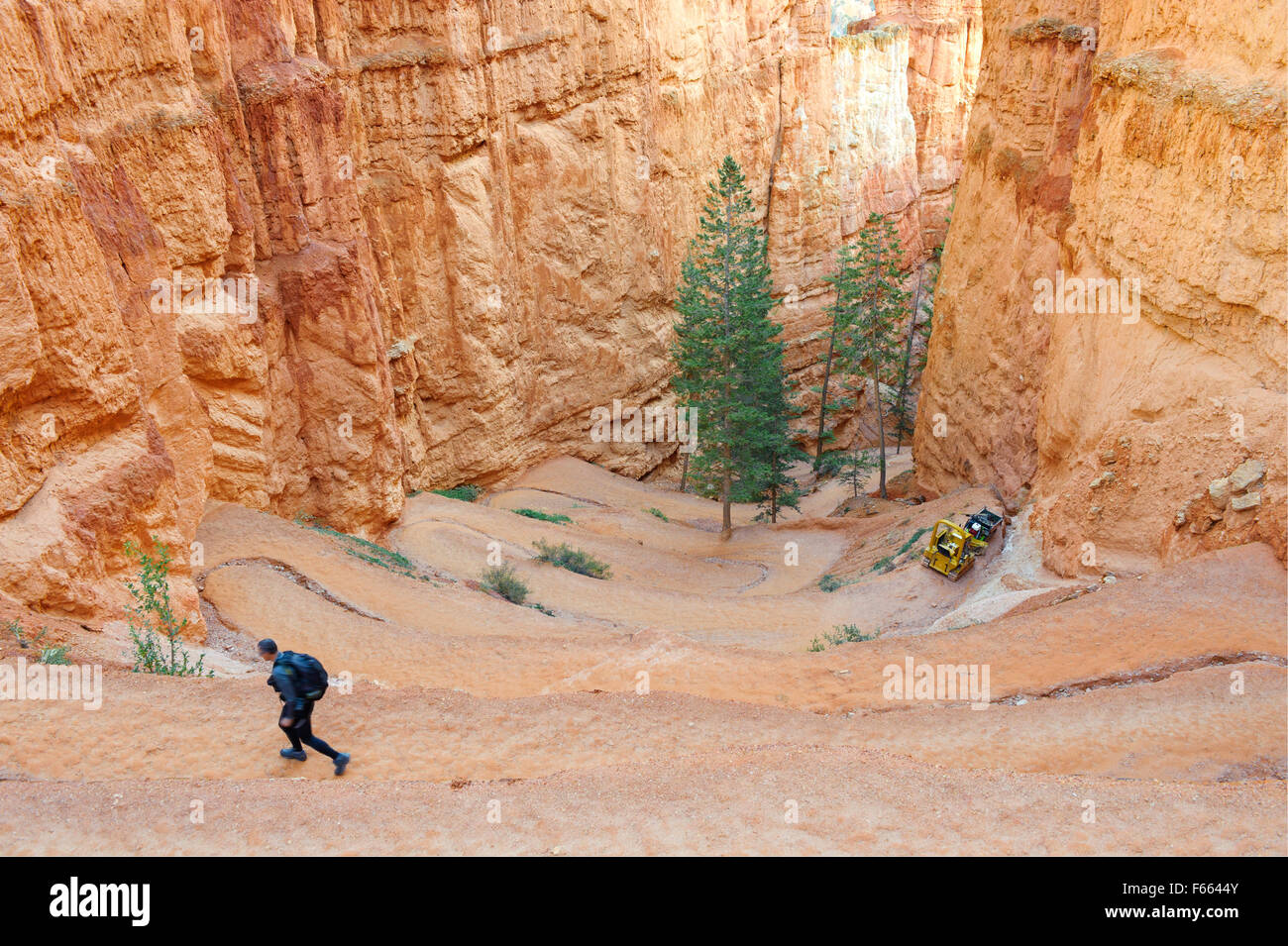 Hiker climbing the switchbacks of the Navajo Loop trail in Bryce ...