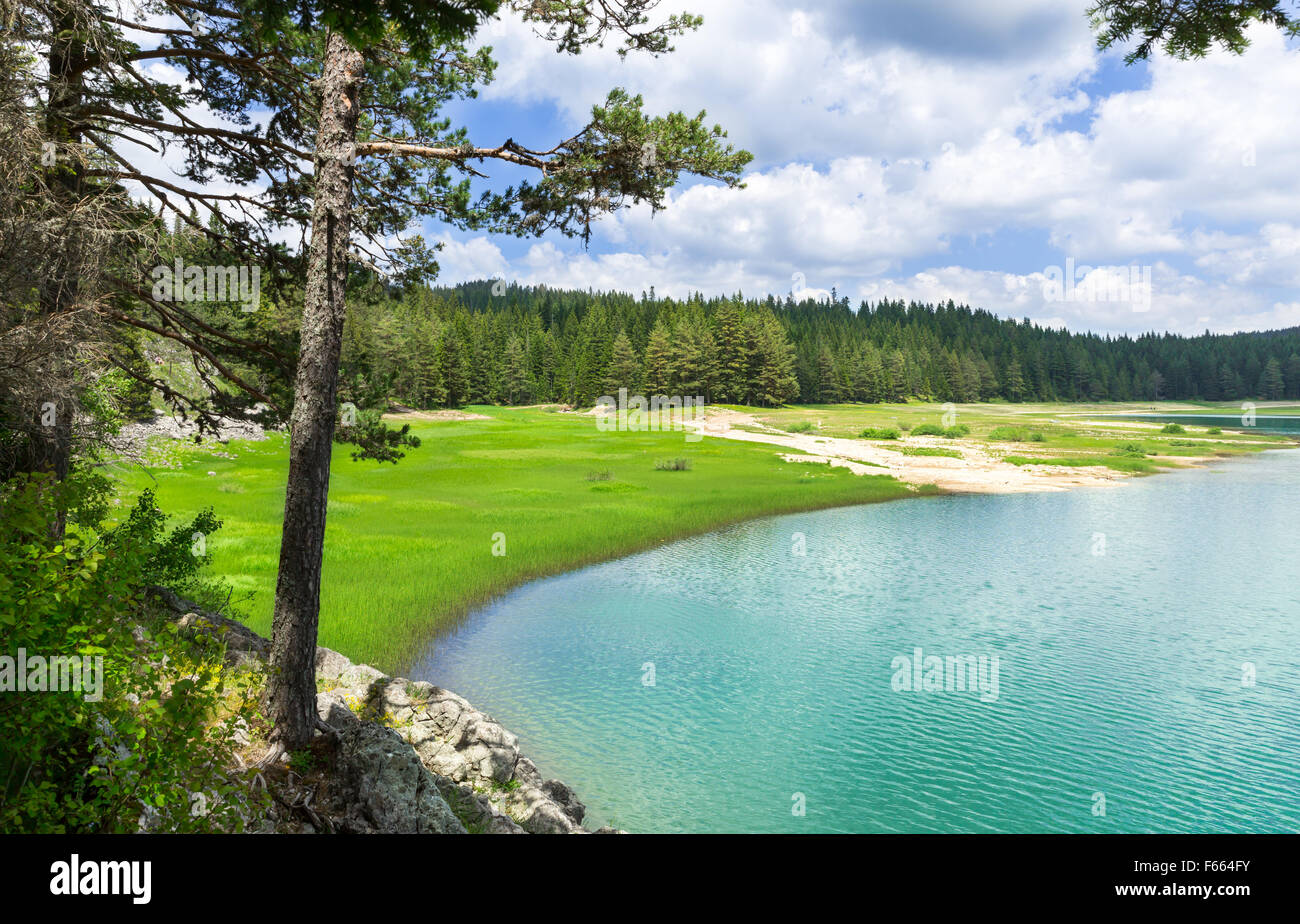 Nice panorama view blue lake and forest Stock Photo - Alamy
