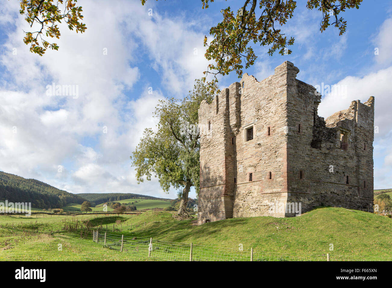 Hopton Castle keep, Hopton, Shropshire, England, UK Stock Photo - Alamy