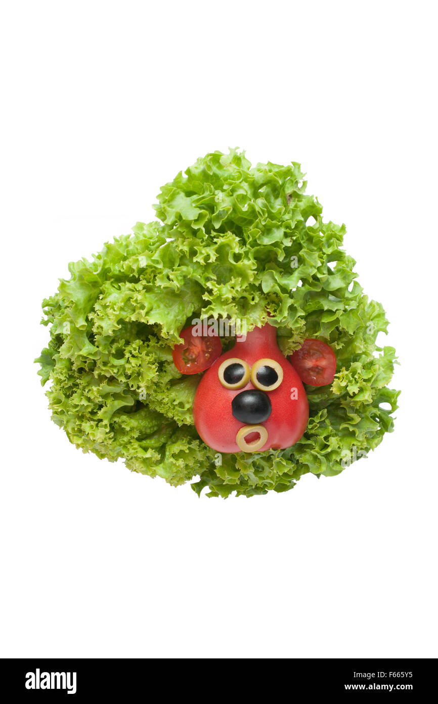 Hedgehog made of tomato and salad Stock Photo - Alamy