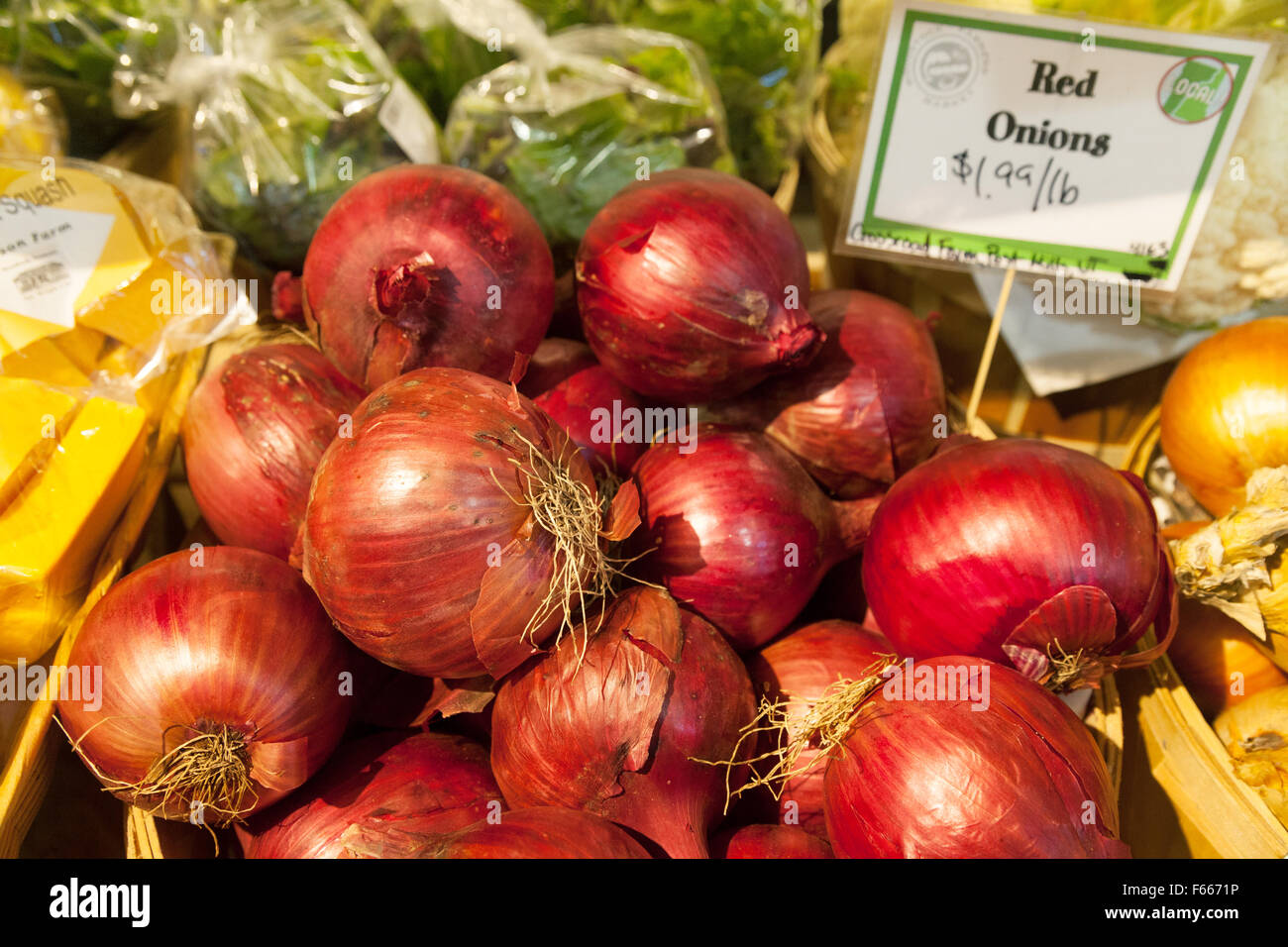 Onion cultivar hi-res stock photography and images - Alamy