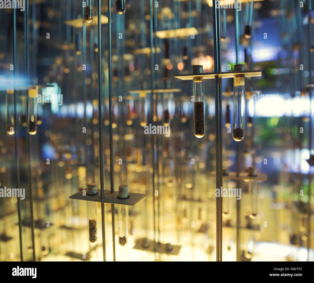 Many test tubes with samples in lab Stock Photo - Alamy