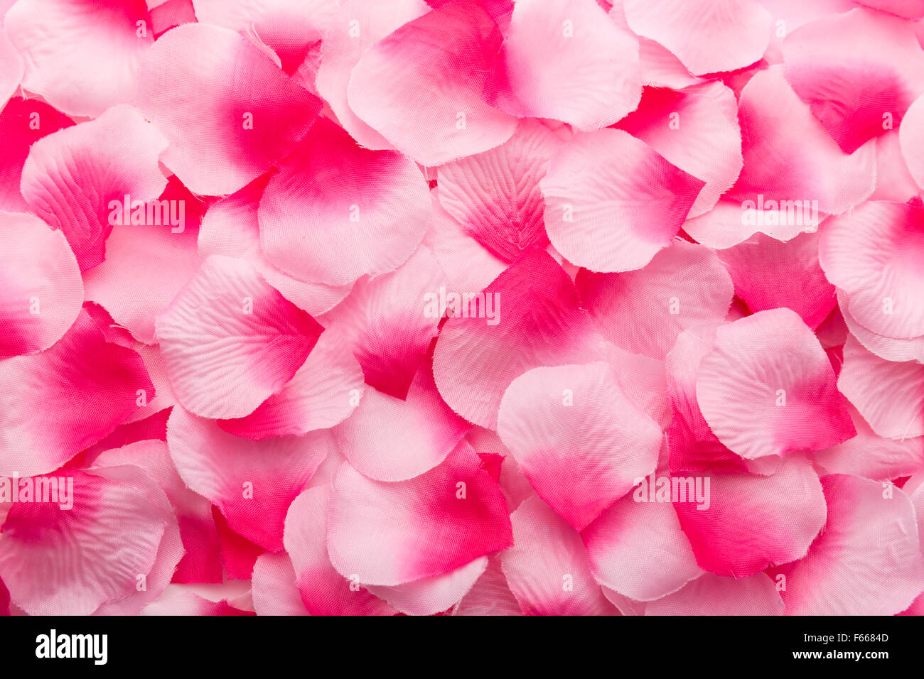 Pink rose petals background closeup Stock Photo - Alamy