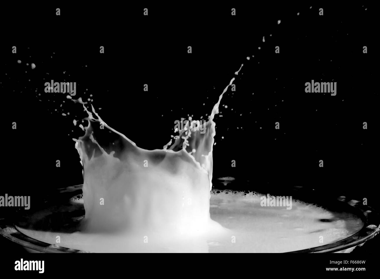 Splash of milk in plate Stock Photo - Alamy