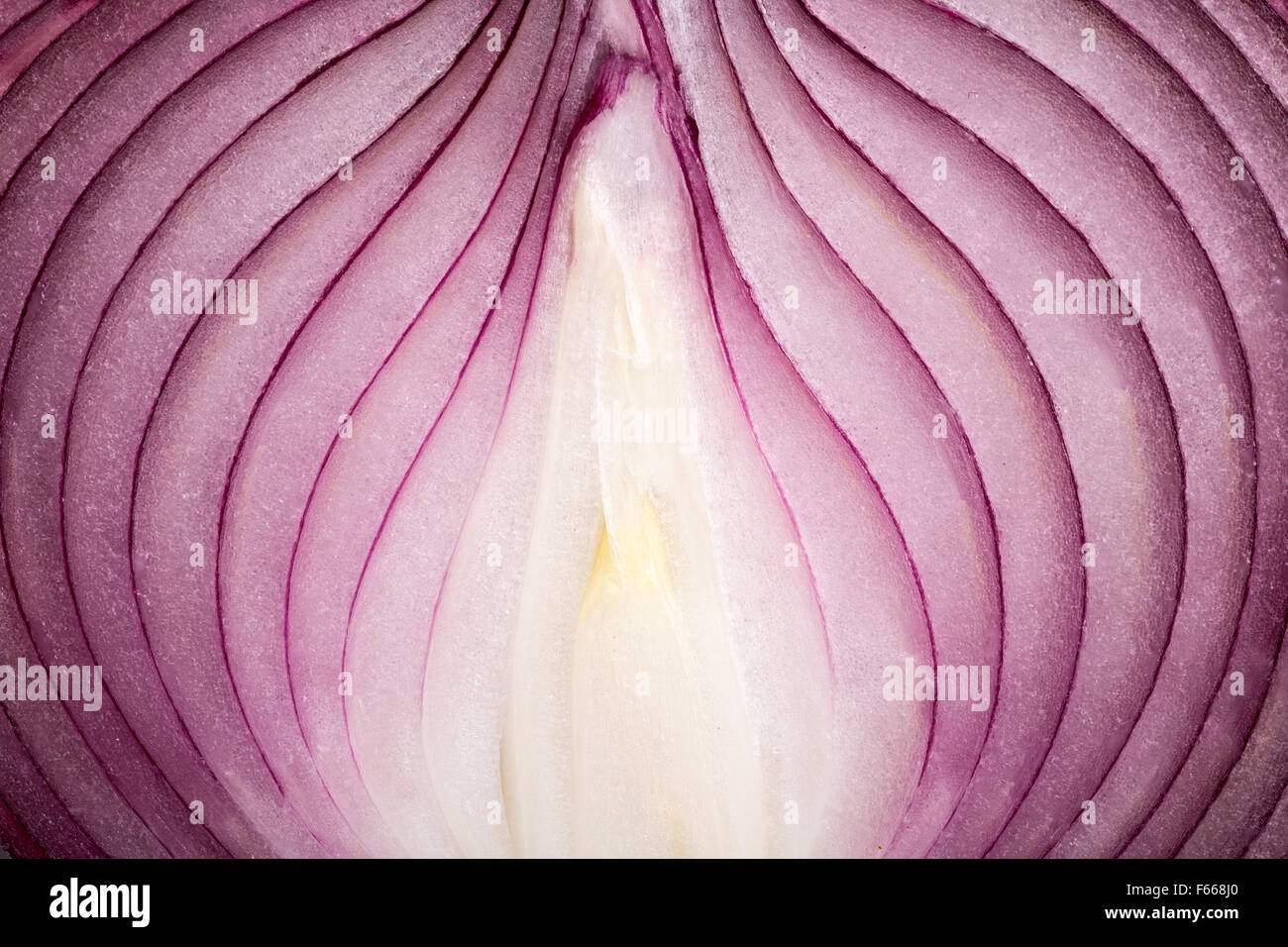 Ripe onion macro Stock Photo - Alamy