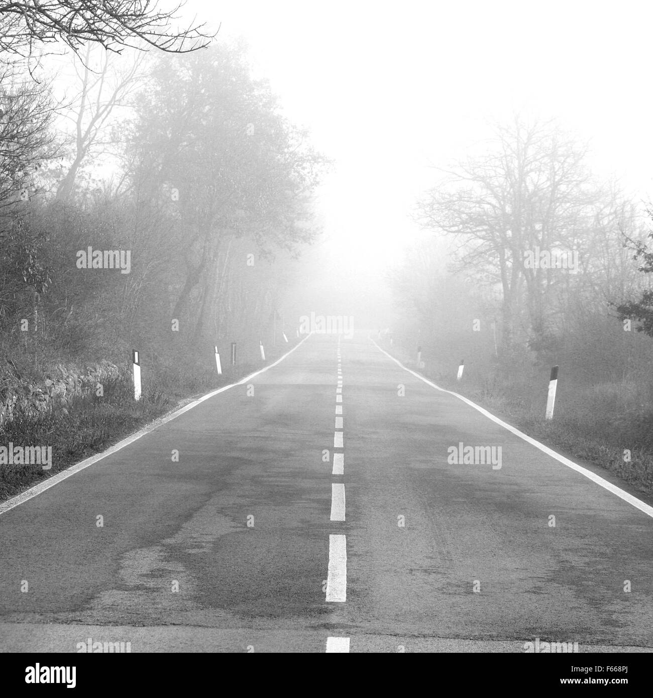 Foggy countryside road in Tuscany, Italy Stock Photo - Alamy