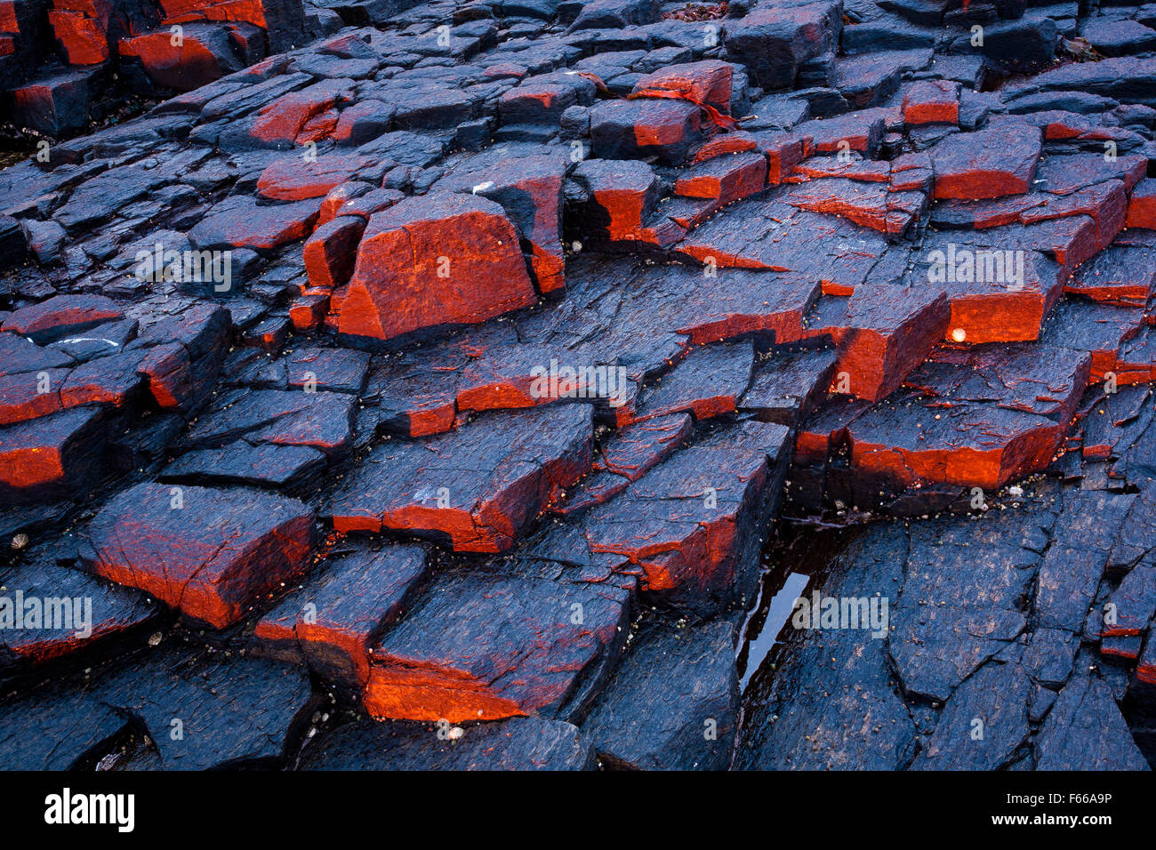 Nature natural form forms hi-res stock photography and images - Alamy