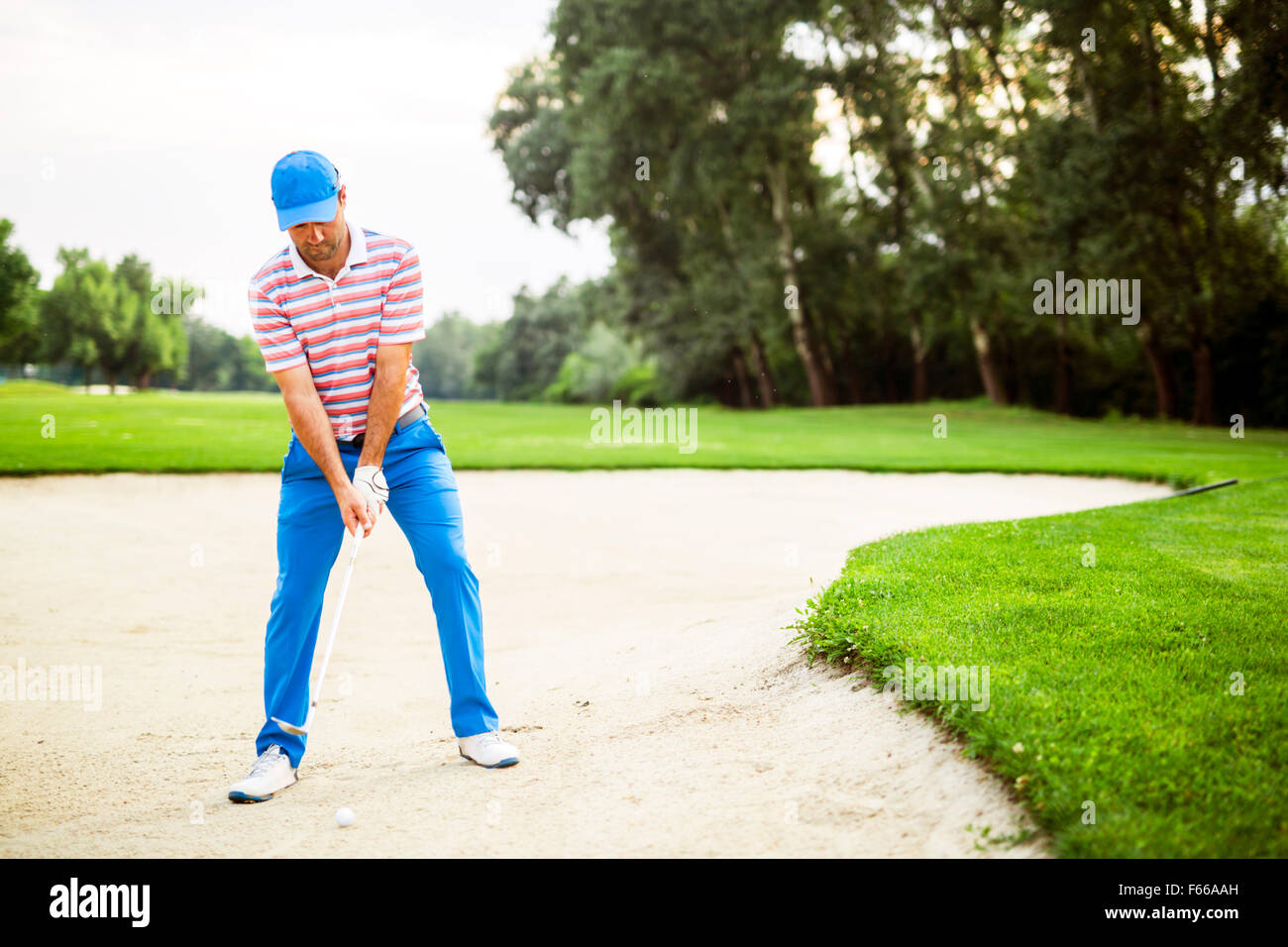 Golfer taking a bunker shot with the ball being in sand Stock Photo - Alamy