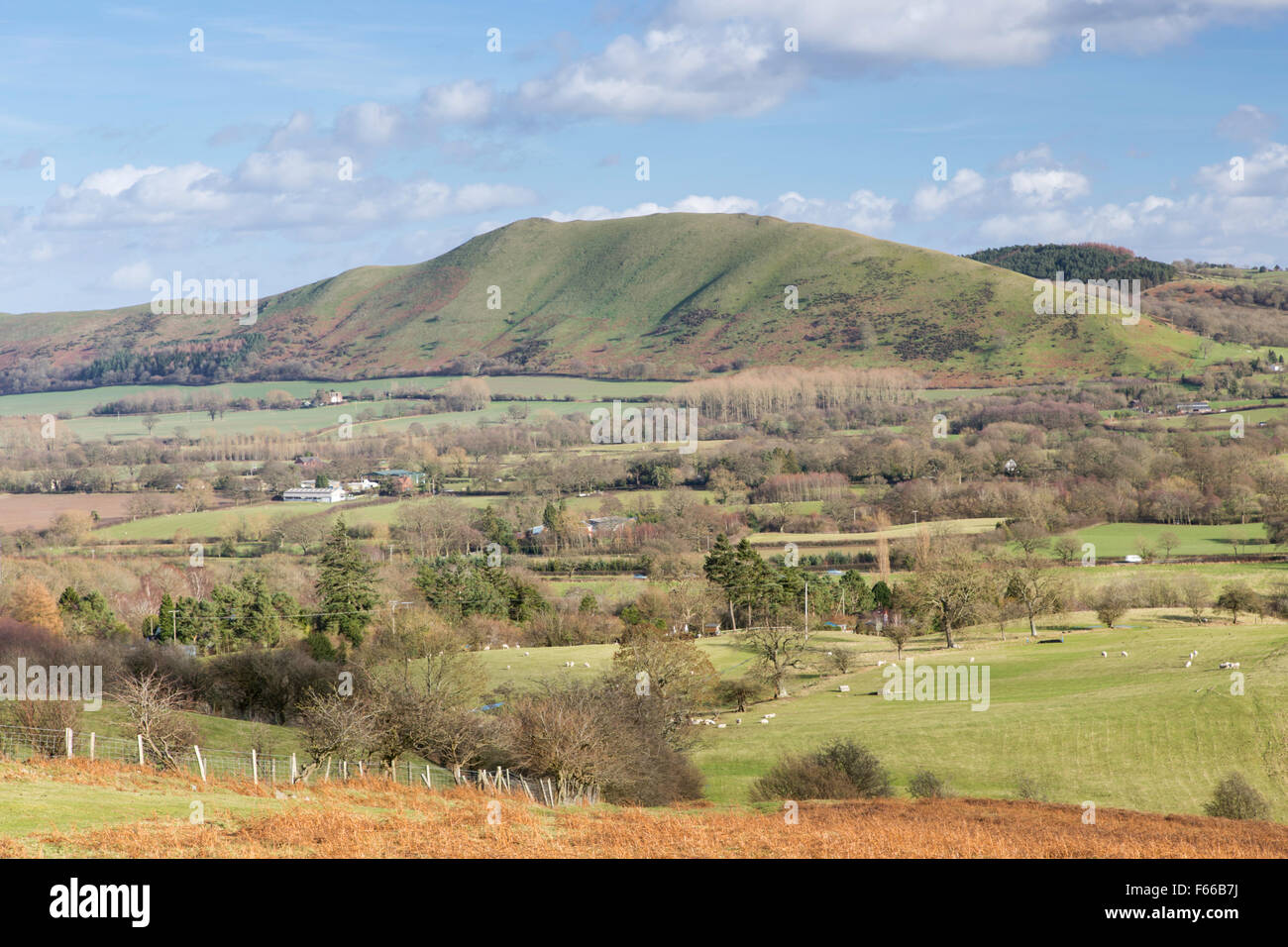 The Lawley from the Long Mynd, Shropshire, England, UK Stock Photo - Alamy