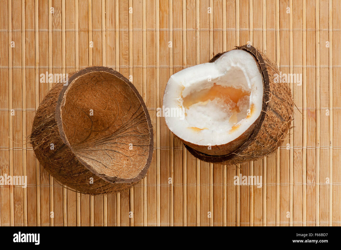 Moulded half coconut copra seed interior, opened mature moldy and ...