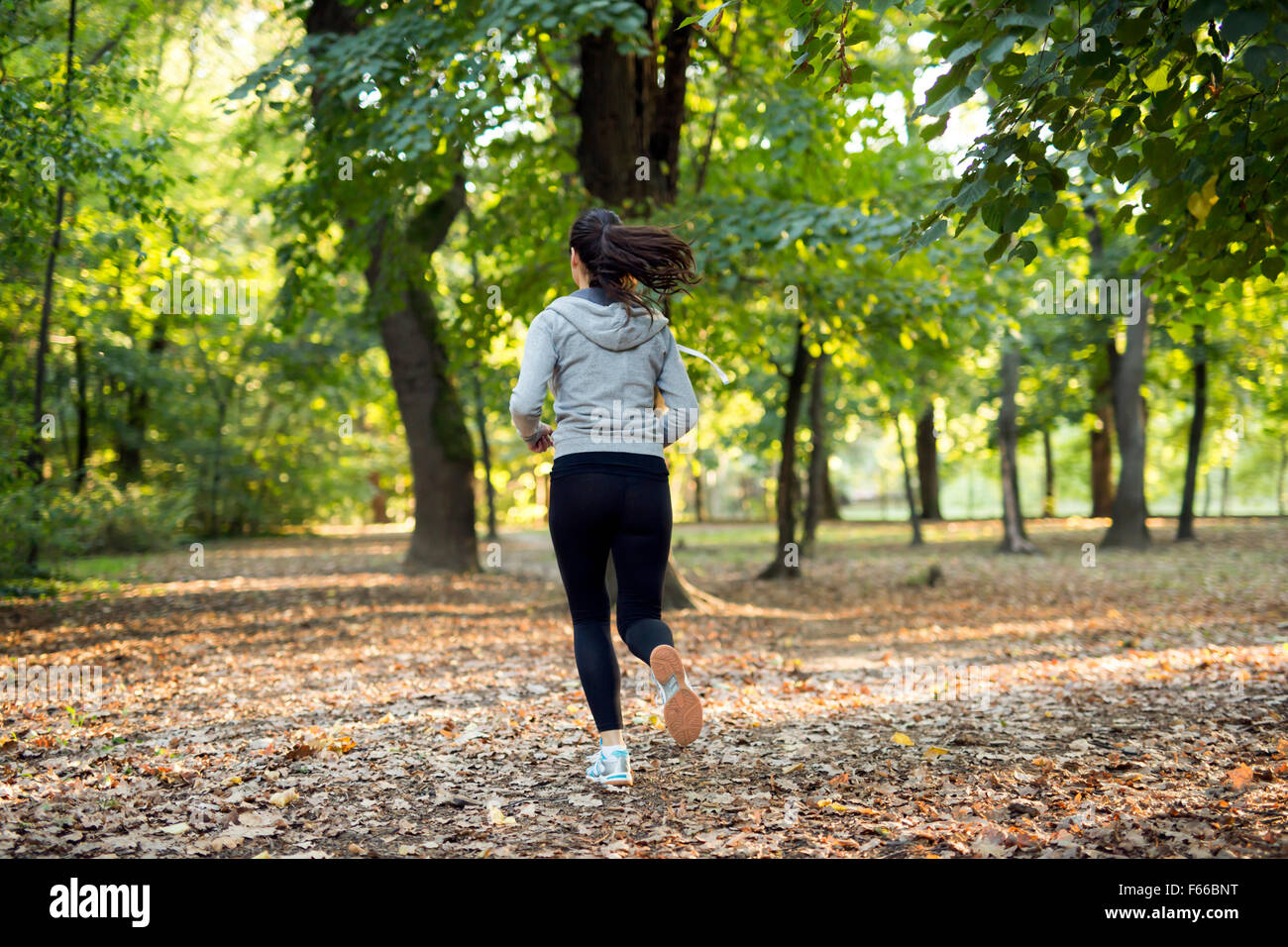 Sporty woman jogging in park surrounded by green trees Stock Photo - Alamy