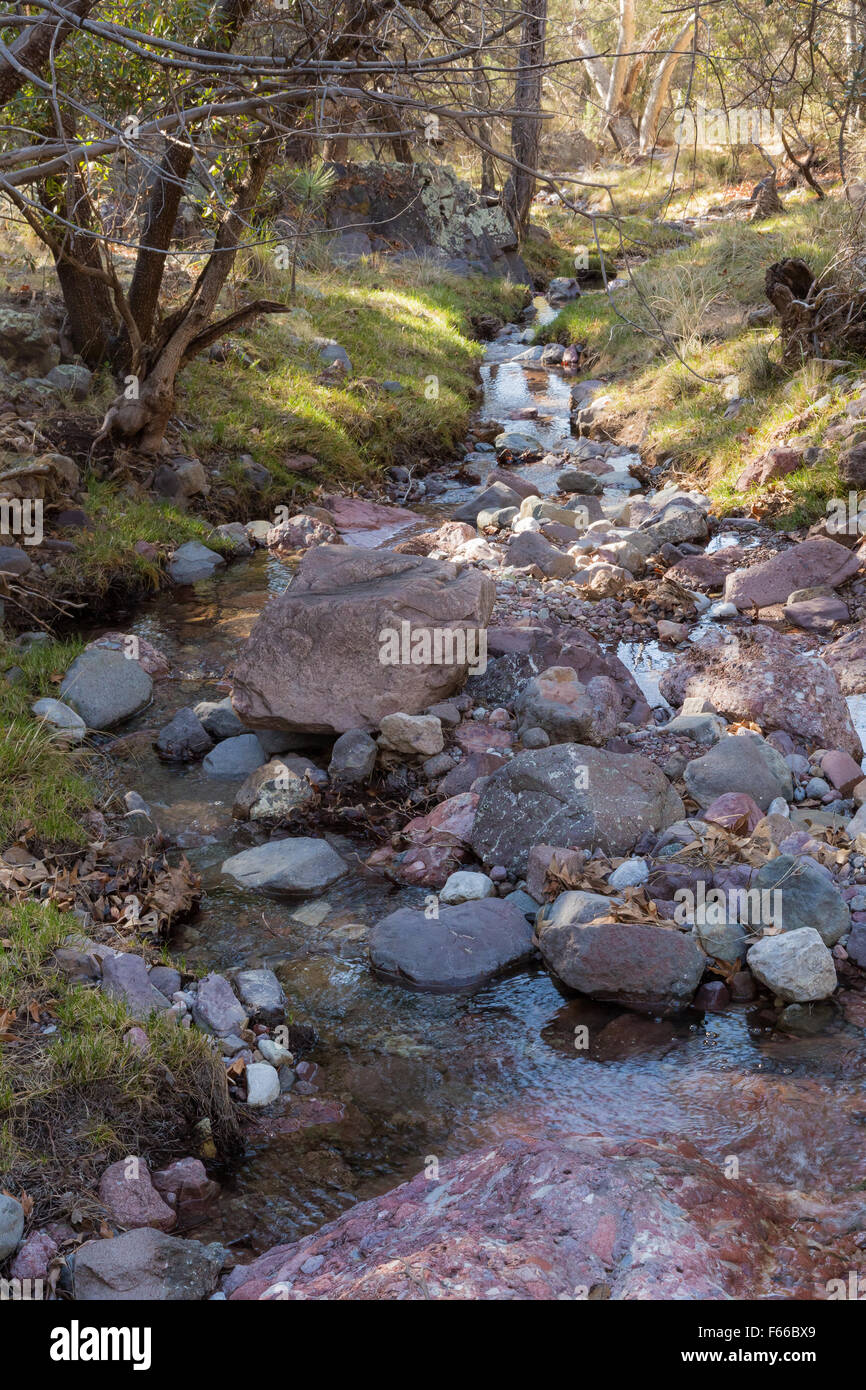 A creek flowing down the Huachuca Mountains, Miller Peak Wilderness ...
