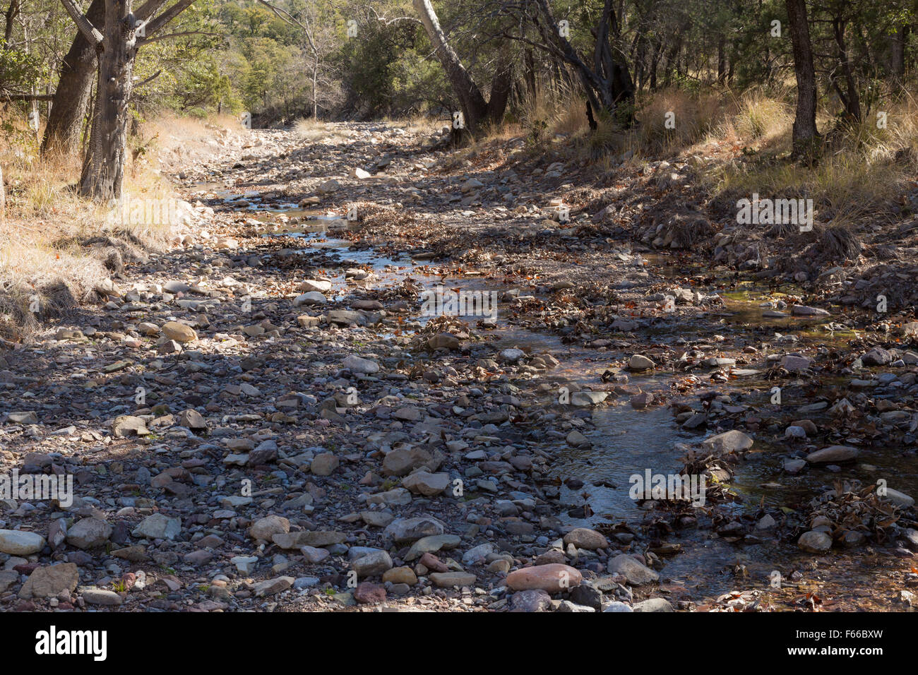 A creek flowing down the Huachuca Mountains, Miller Peak Wilderness ...