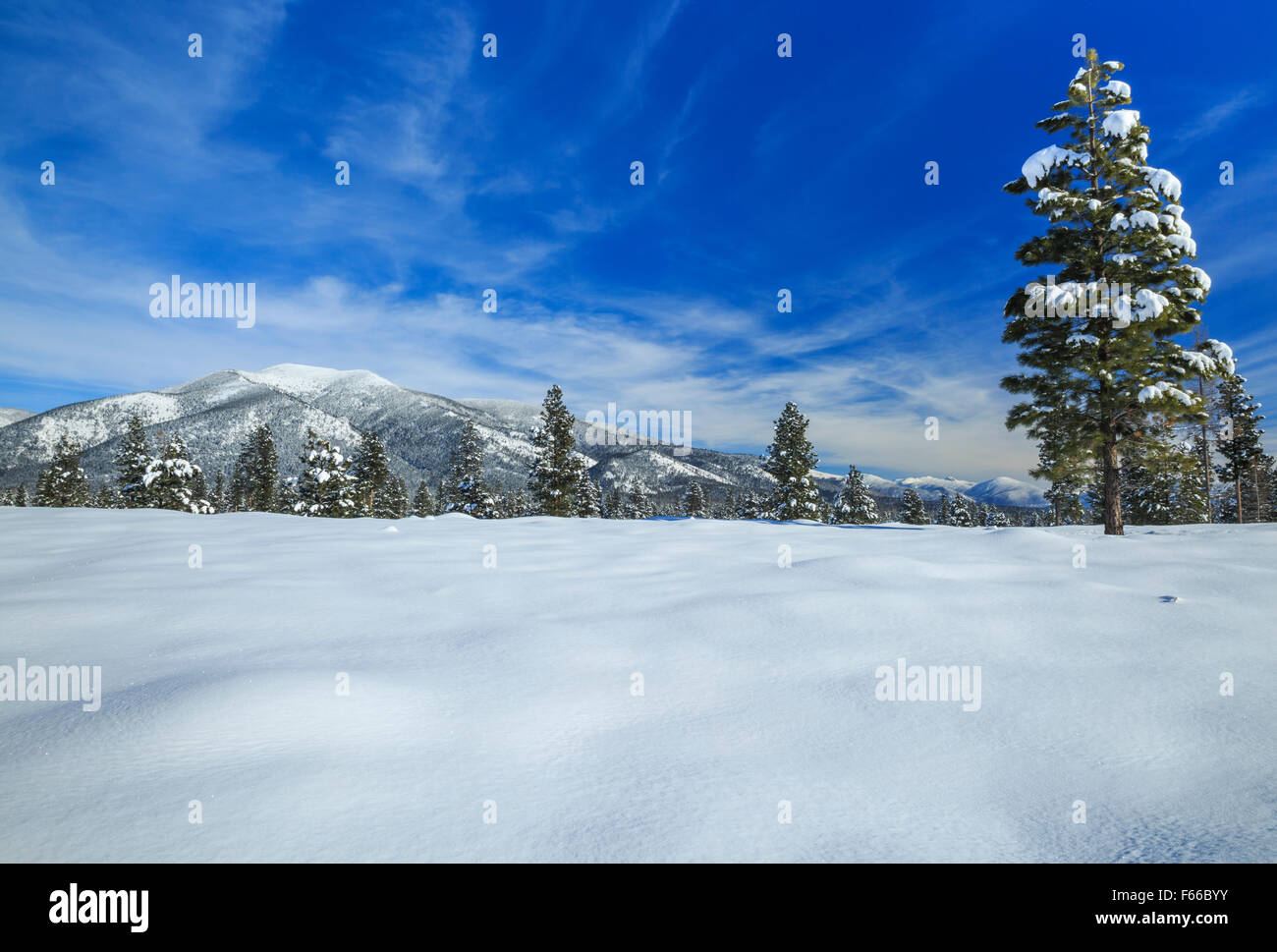 ovando mountain above snowy meadow near ovando, montana Stock Photo - Alamy