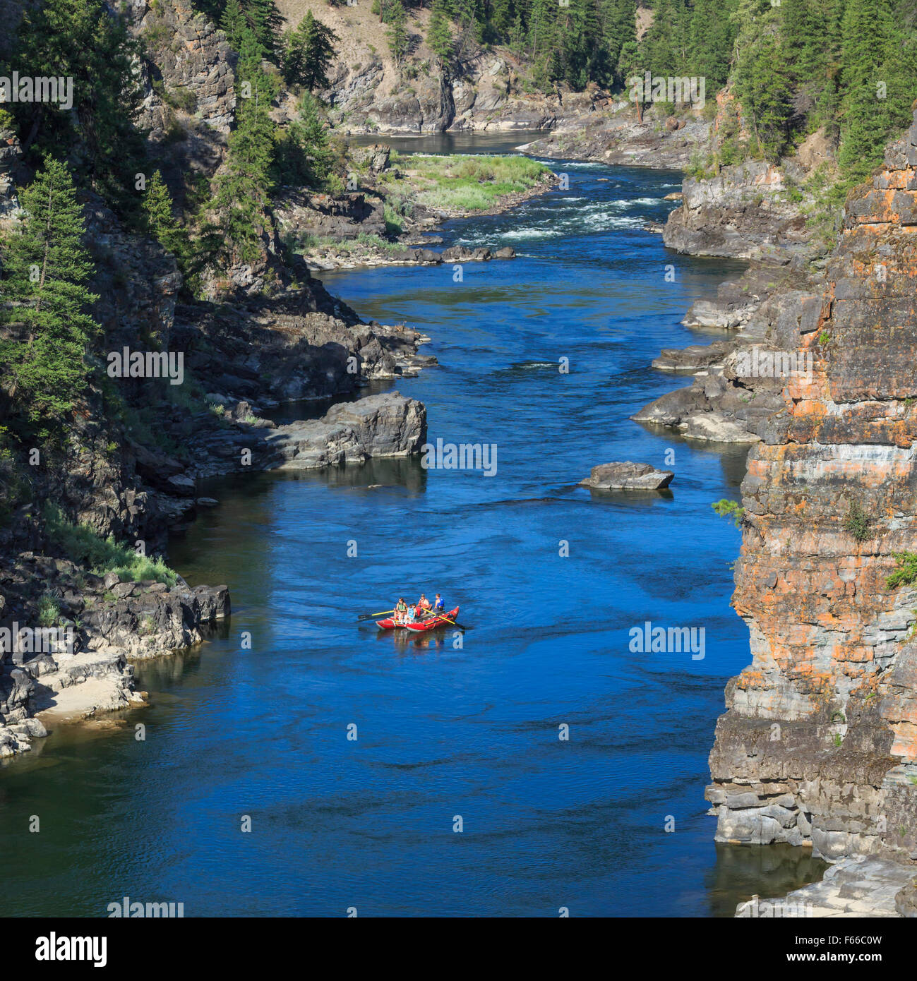 rafters in alberton gorge along the clark fork river near alberton ...