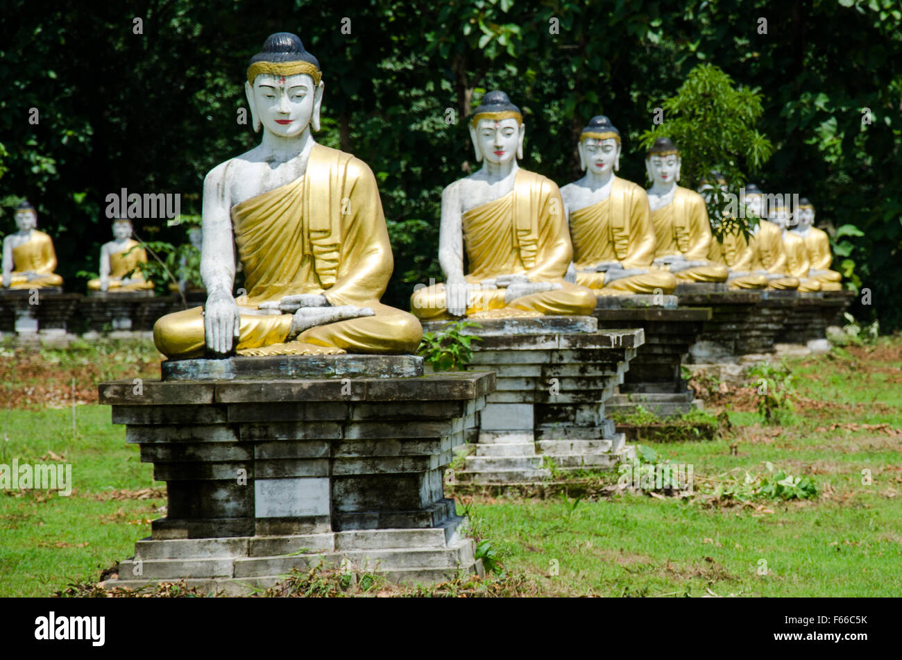 Row of buddha statues hi-res stock photography and images - Alamy