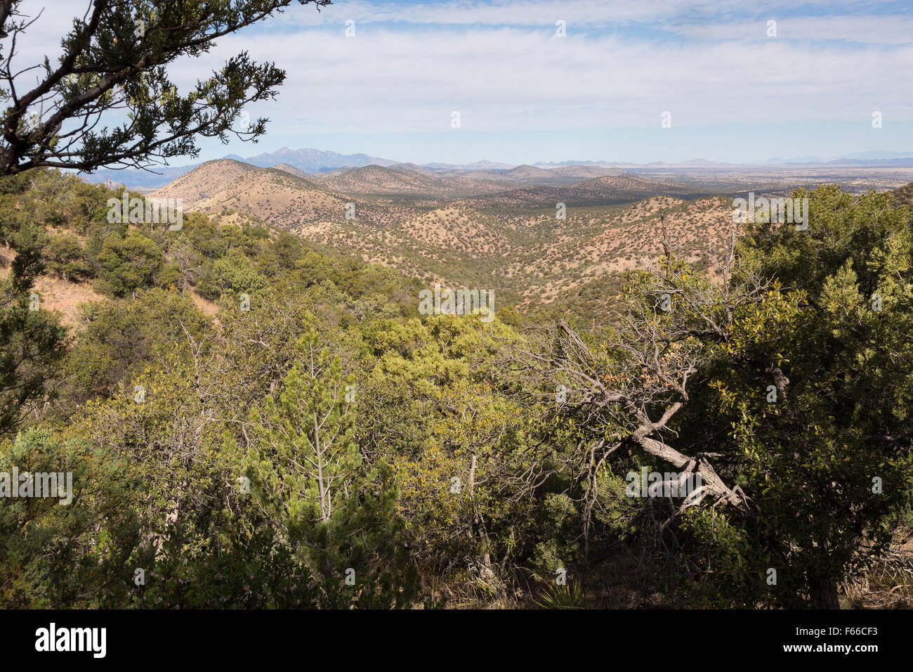 Forests giving way to the desert on the Huachuca Mountains, Miller Peak ...