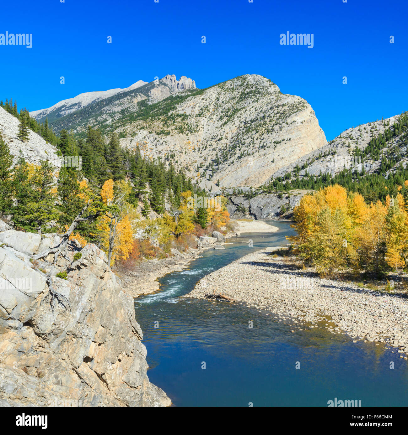 fall colors along sun river in canyon below gibson reservoir near ...