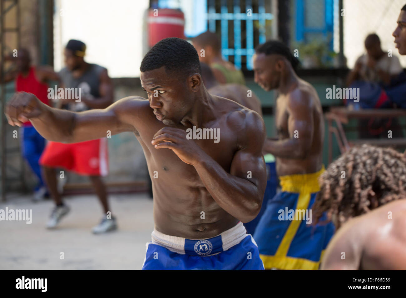 Cuban boxers in training hi-res stock photography and images - Alamy
