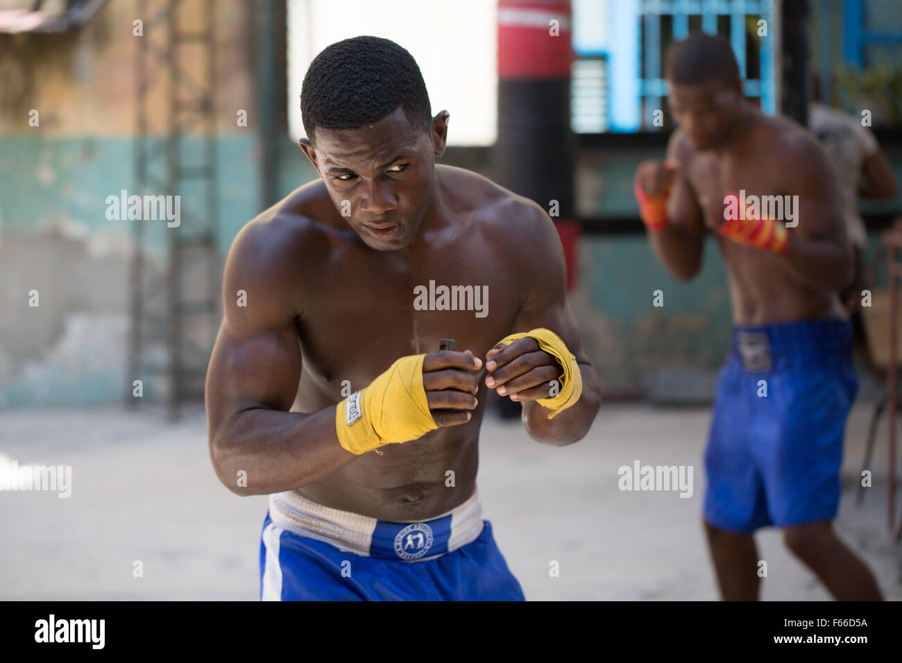 Boxing training in Havana, Cuba Stock Photo - Alamy