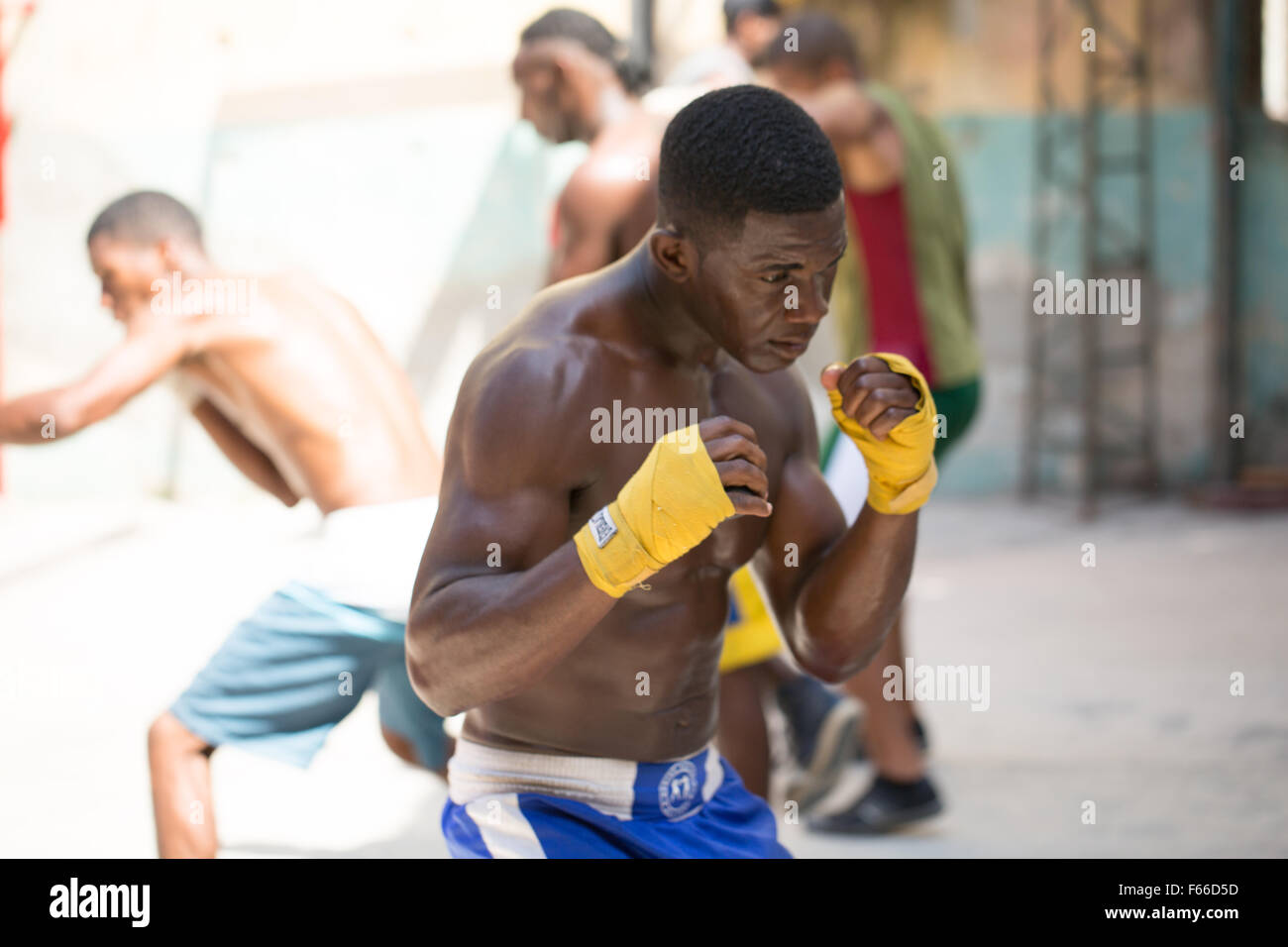 Cuban boxers in training hi-res stock photography and images - Alamy