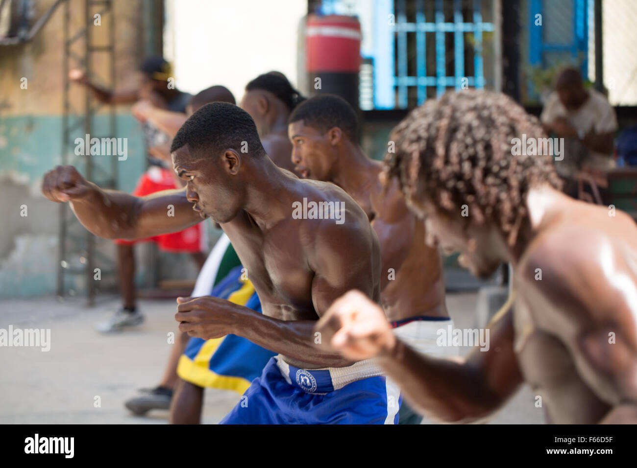 Boxing training in Havana, Cuba Stock Photo - Alamy