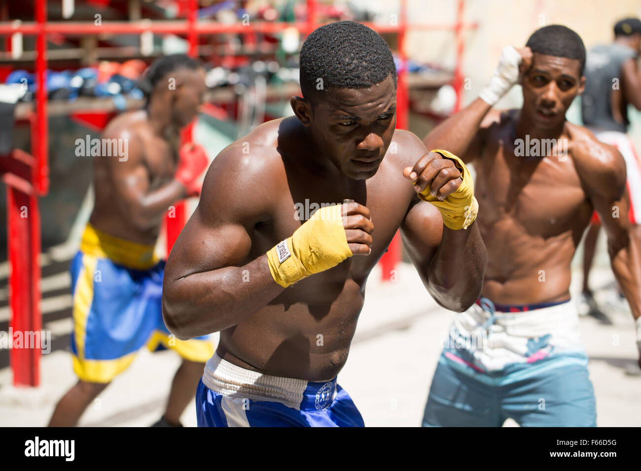 Boxing training in Havana, Cuba Stock Photo - Alamy