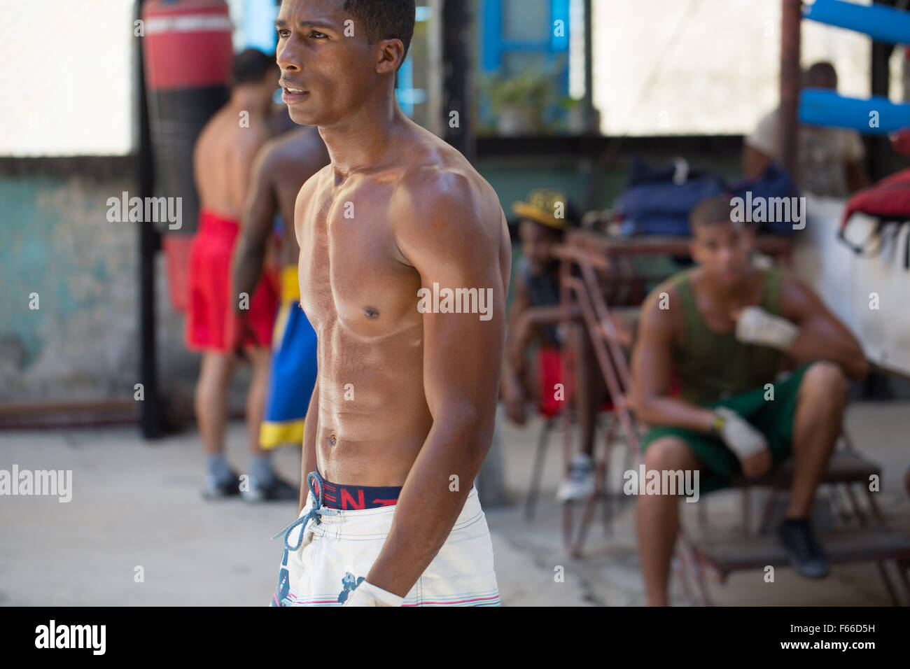 Boxing training in Havana, Cuba Stock Photo - Alamy