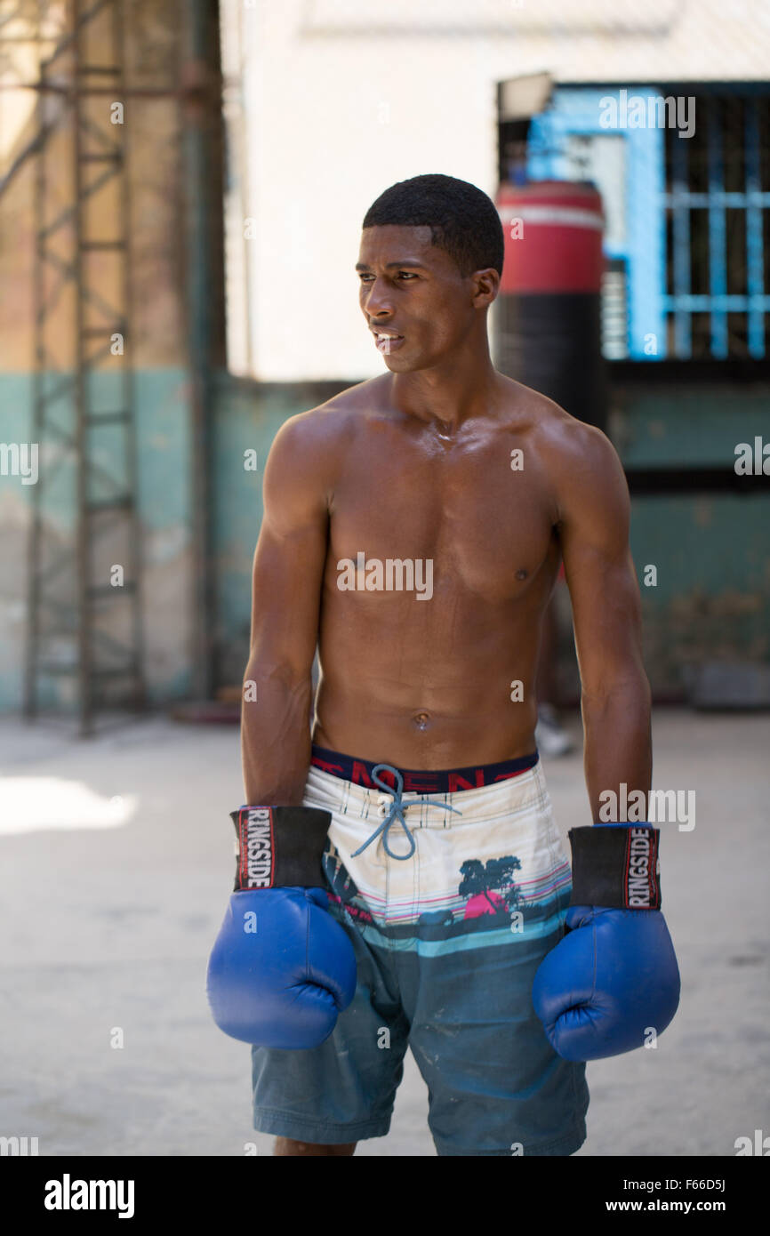 Boxing training in Havana, Cuba Stock Photo - Alamy