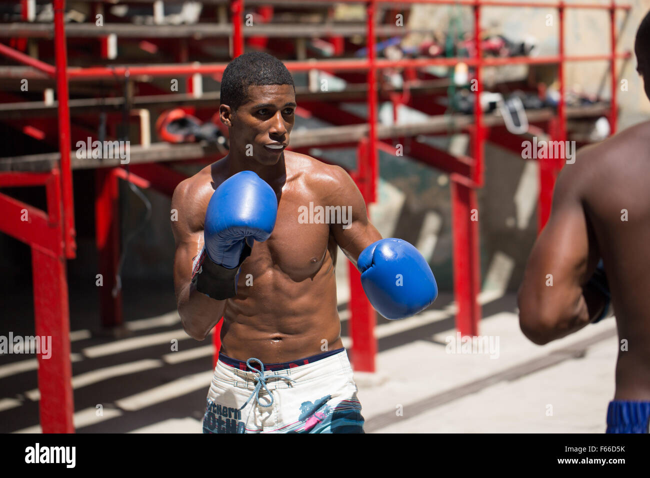 Boxing training in Havana, Cuba Stock Photo - Alamy