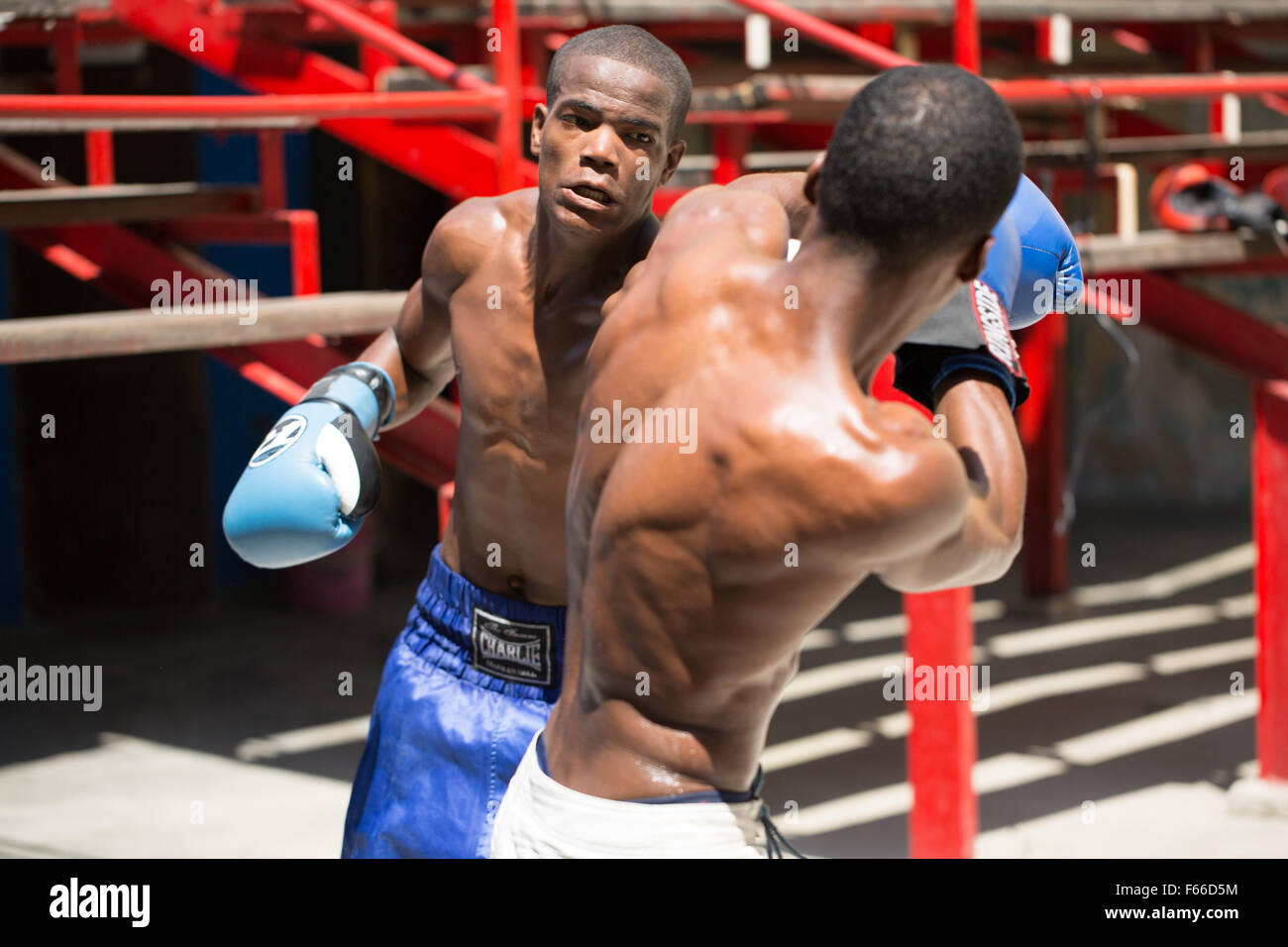 Boxing training in Havana, Cuba Stock Photo - Alamy