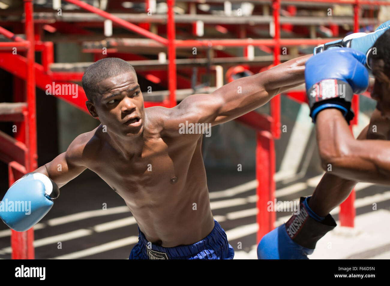 Cuban boxers in training hi-res stock photography and images - Alamy