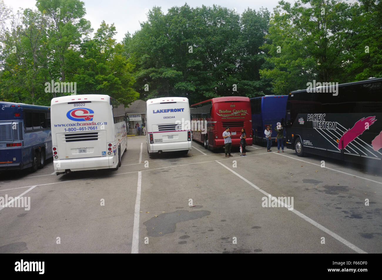 Coaches parked in a coach park on the outskirts of the town of Niagara ...