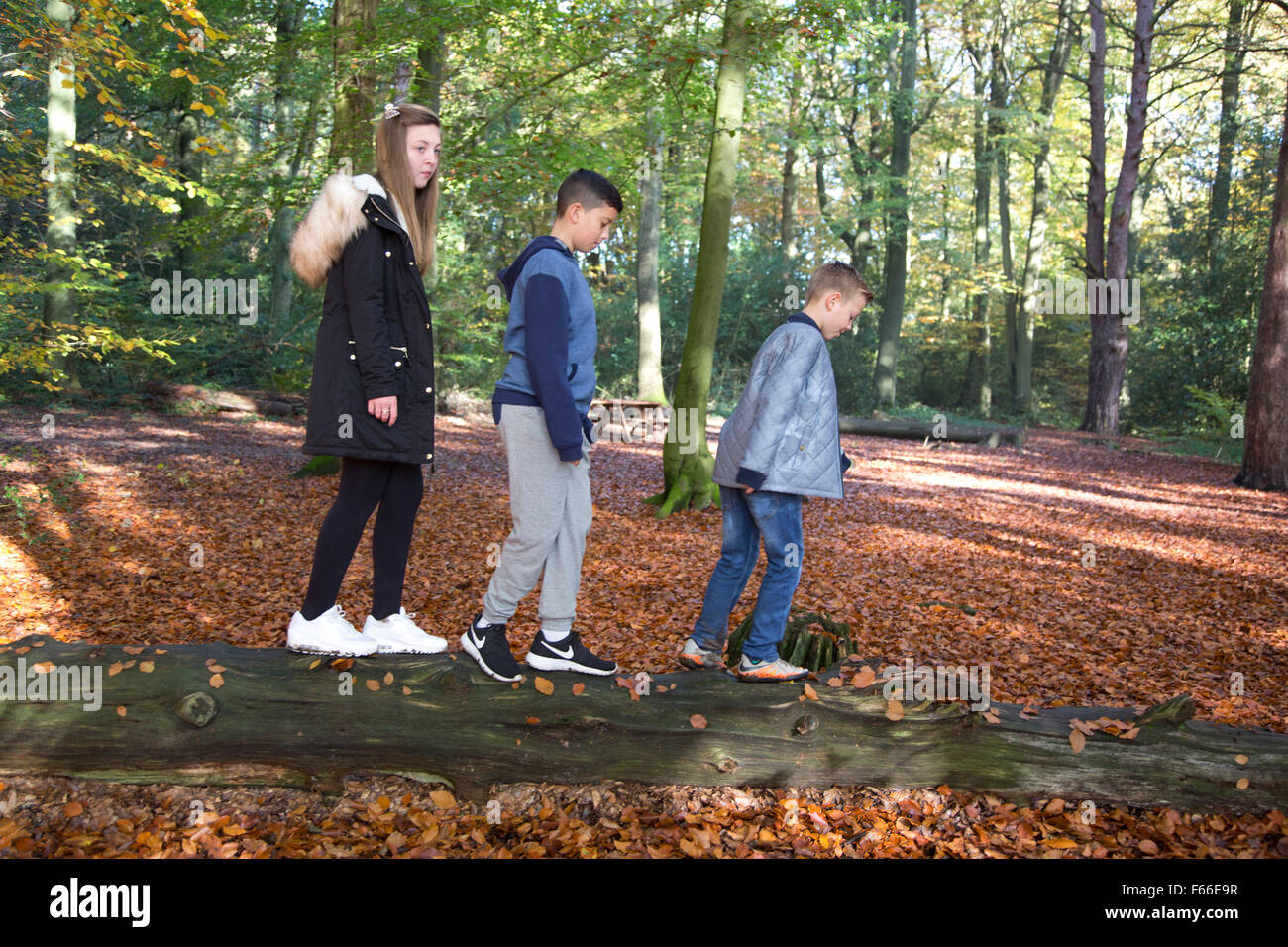 Girl walking a log hi-res stock photography and images - Alamy