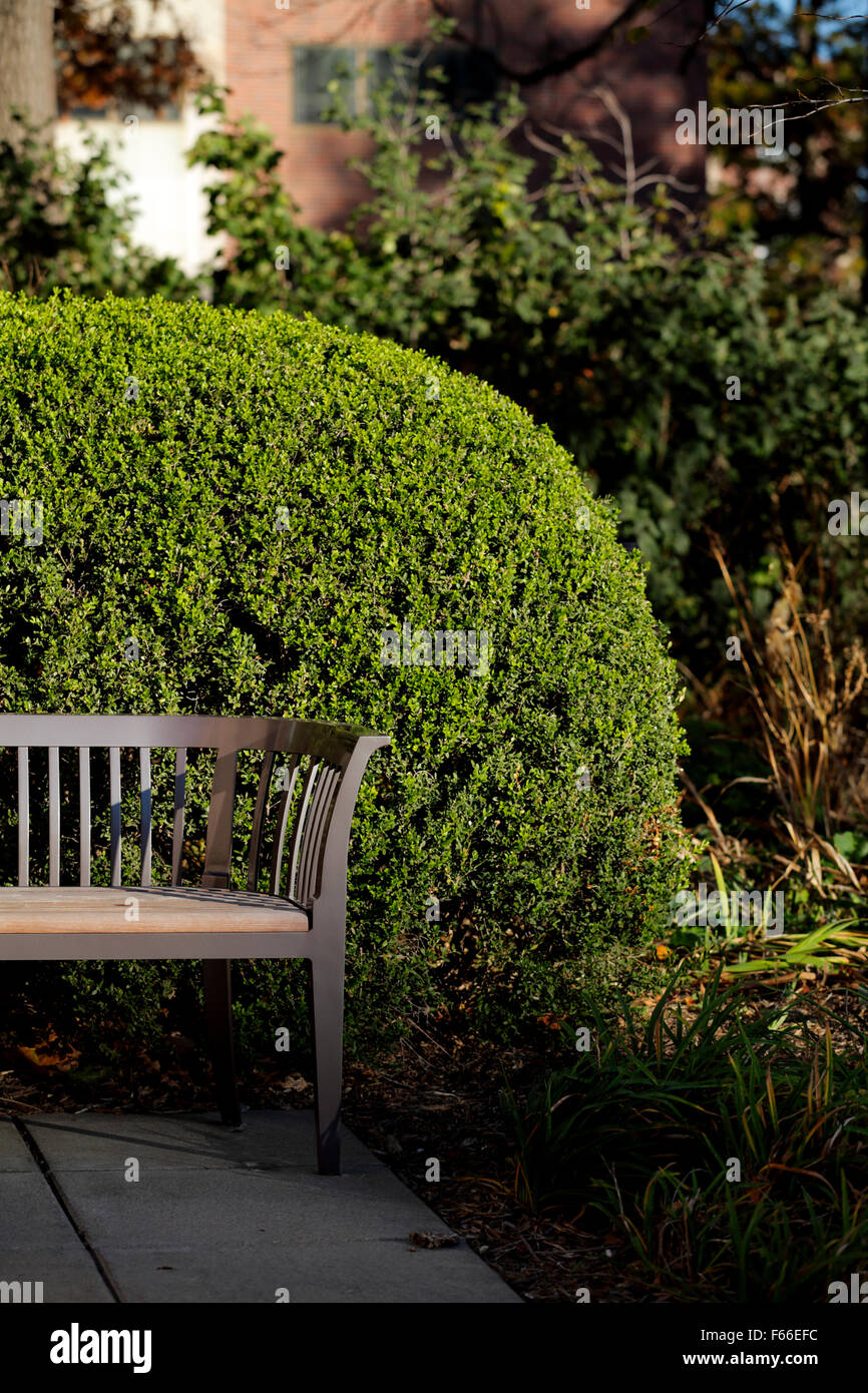 Arm curved hi-res stock photography and images - Alamy