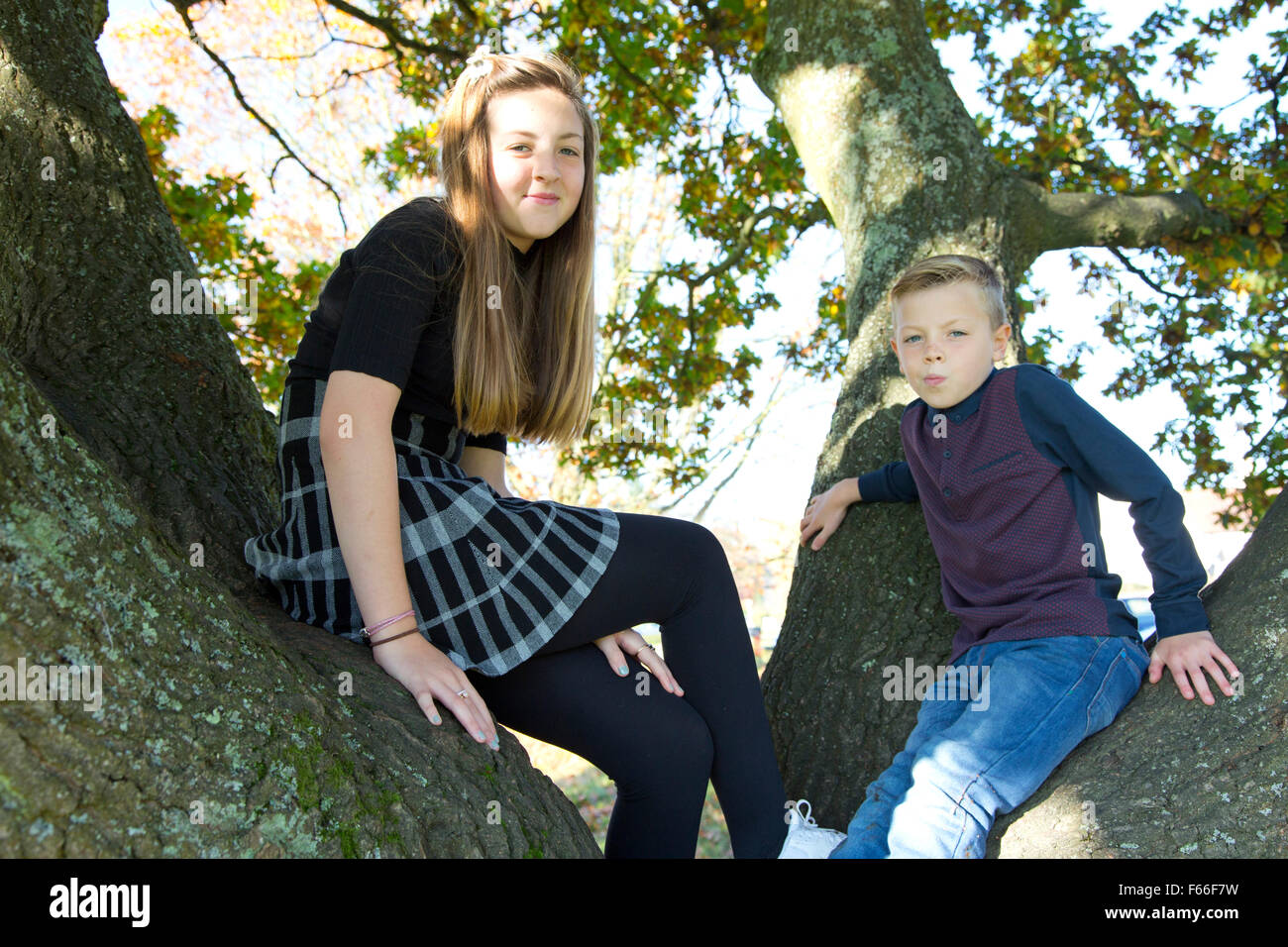 Boy and Girl climbing trees Stock Photo - Alamy