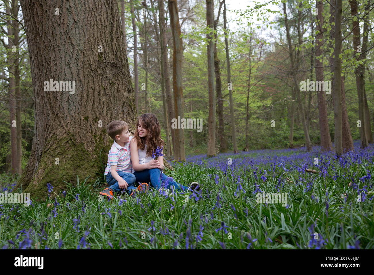 Kids playing outside in the woods hi-res stock photography and images ...
