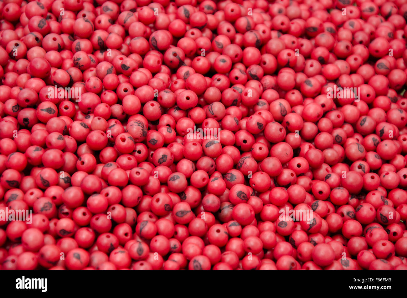 Acai beads, dyed in bright red Stock Photo - Alamy