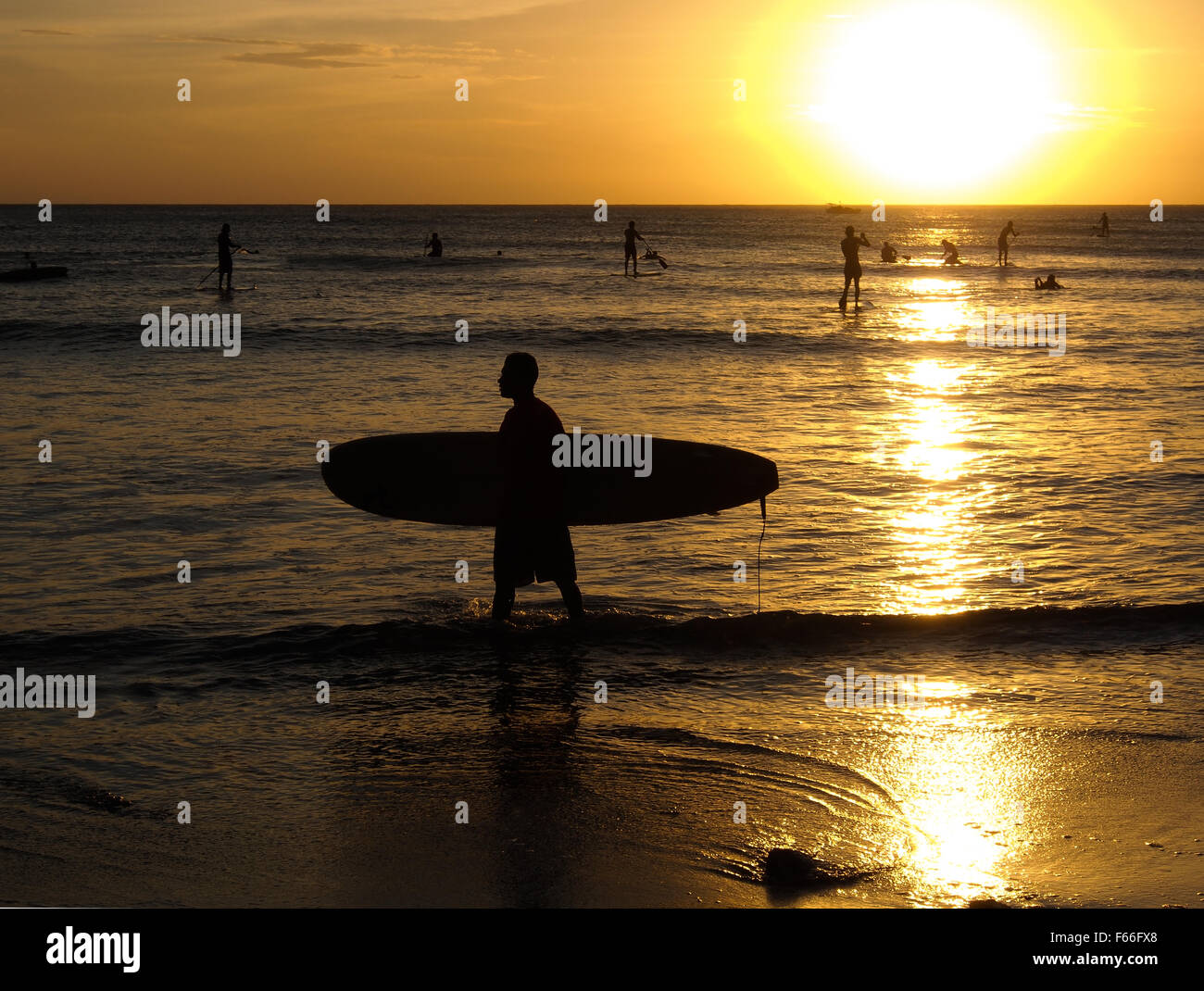 surfer in the sunset Stock Photo - Alamy