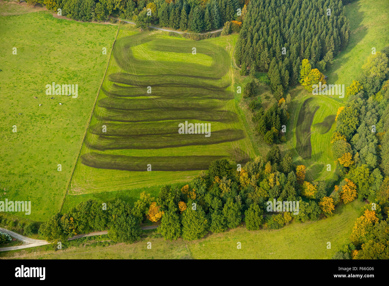 Manure, stench, fertilizing, fertilizing with manure, manure field in ...