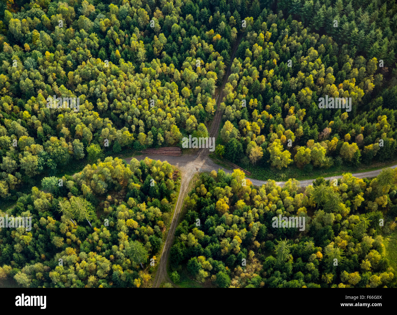 Forest road crossing near the forest road in the Arnsberg Forest ...